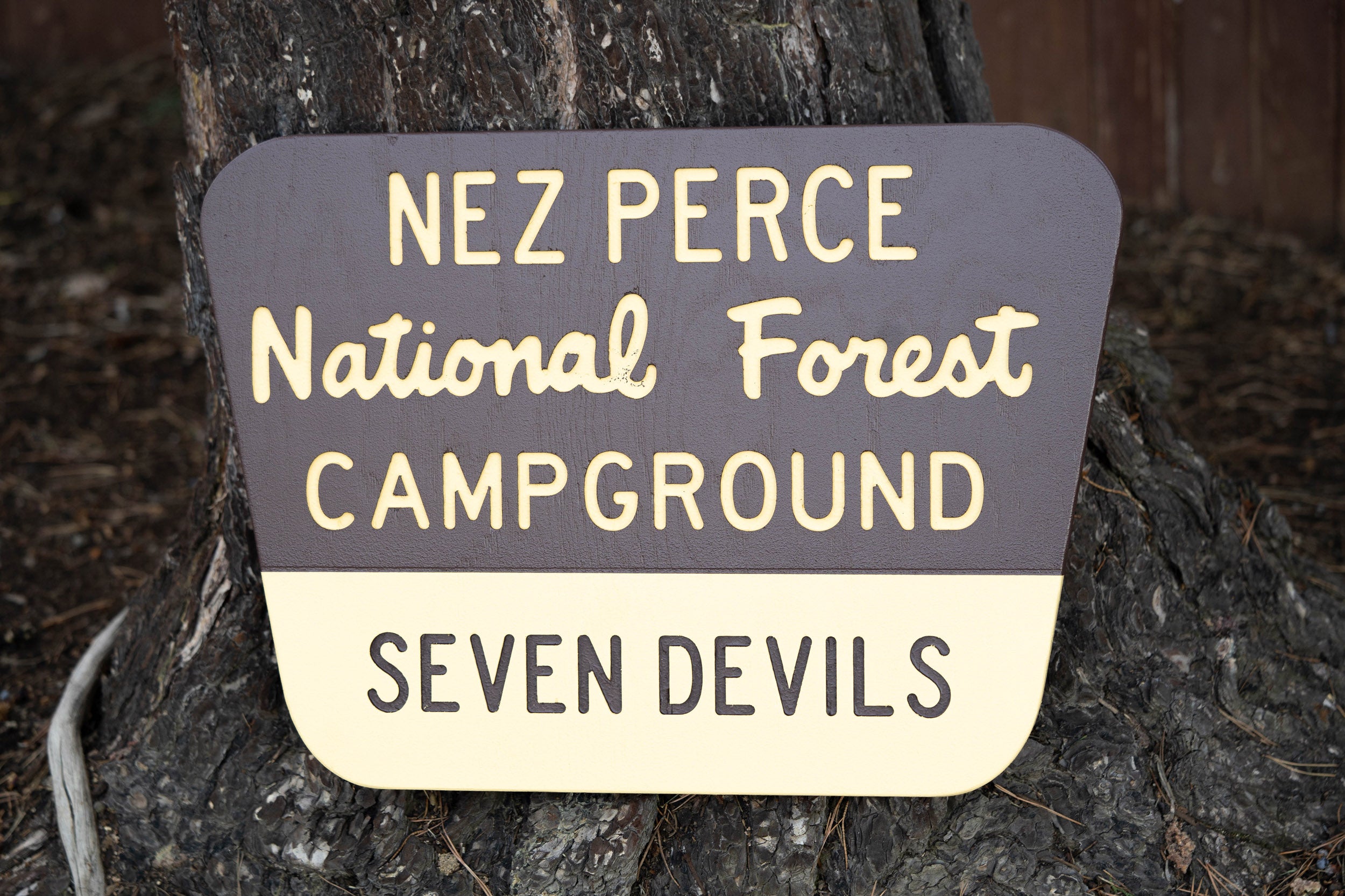 Custom Campground National Forest Sign - Version 3 – chisel custom decor