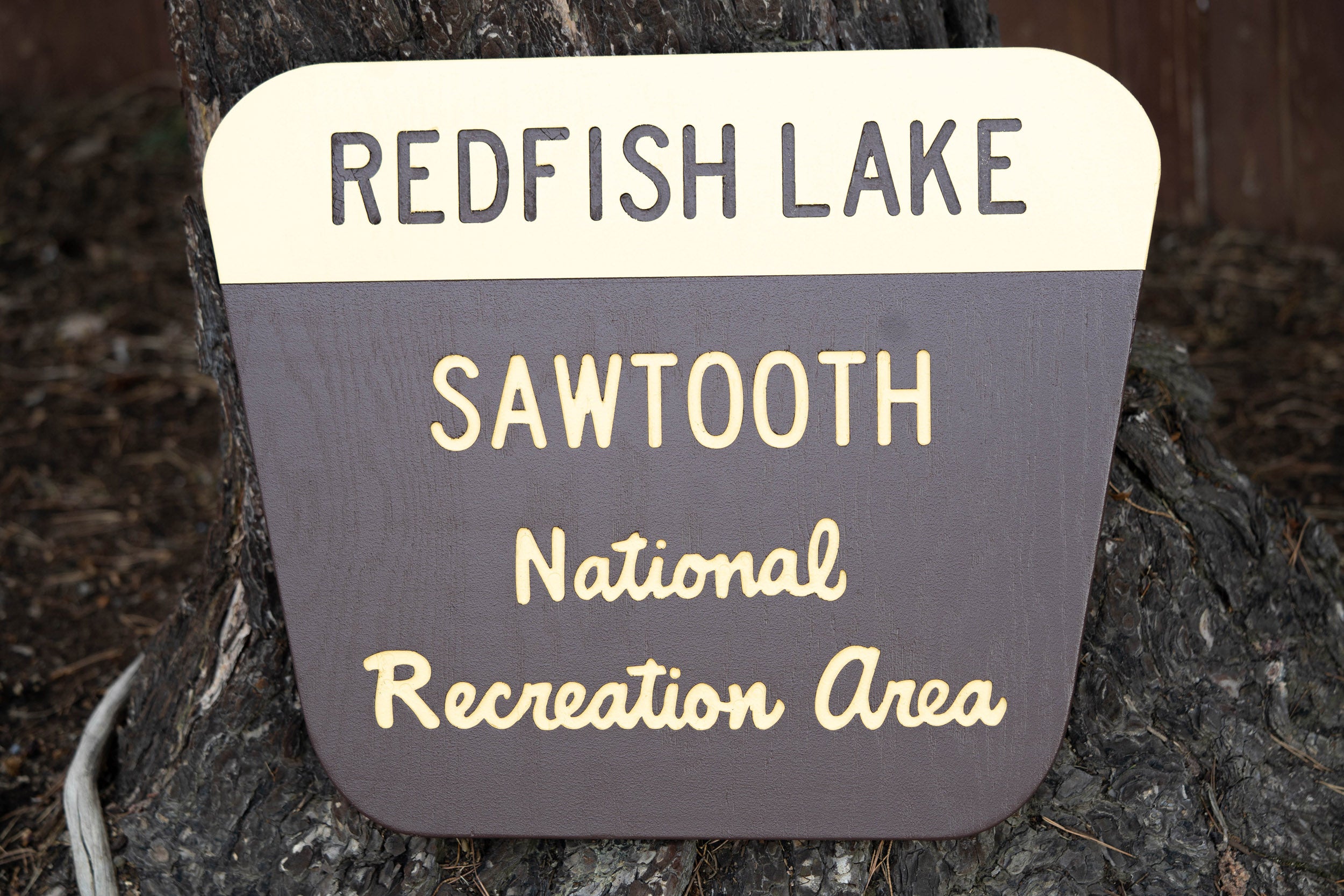 Custom Recreation Area National Forest Sign - Version 3 – chisel custom ...