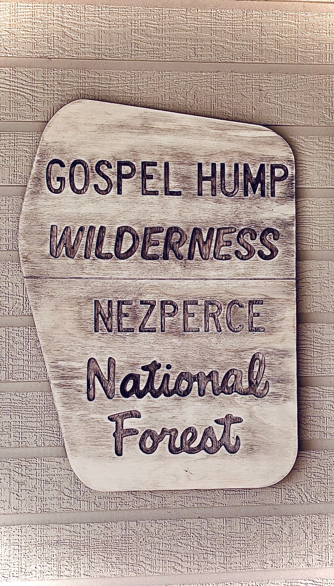 Weathered Wilderness National Forest Sign - Custom | Chisel Decor ...